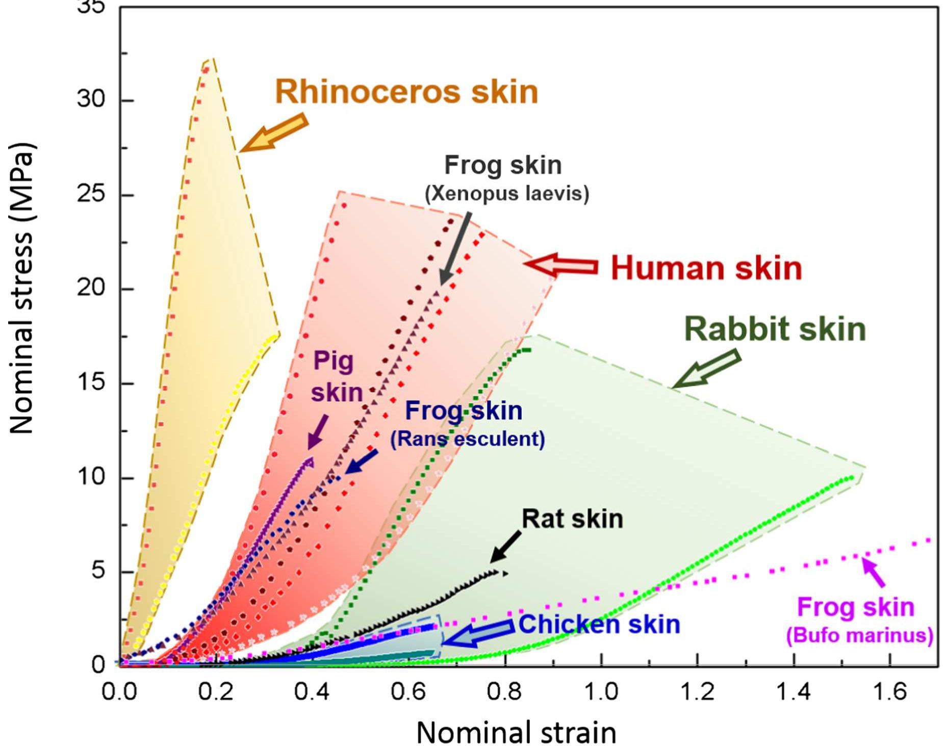 4. uniaxial tensile stress-strain curves of skin samples