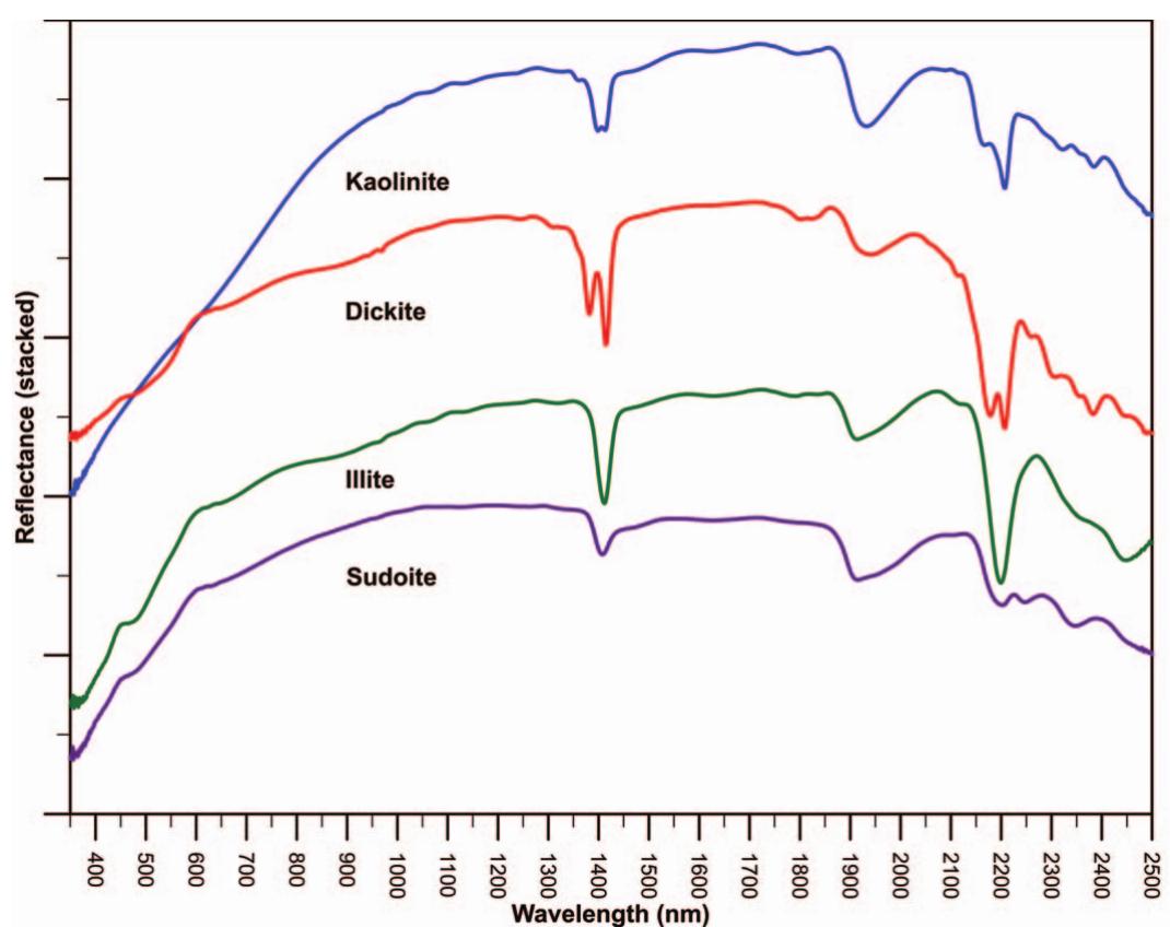 Stacked vnir-swir reflectance spectra of key minerals of