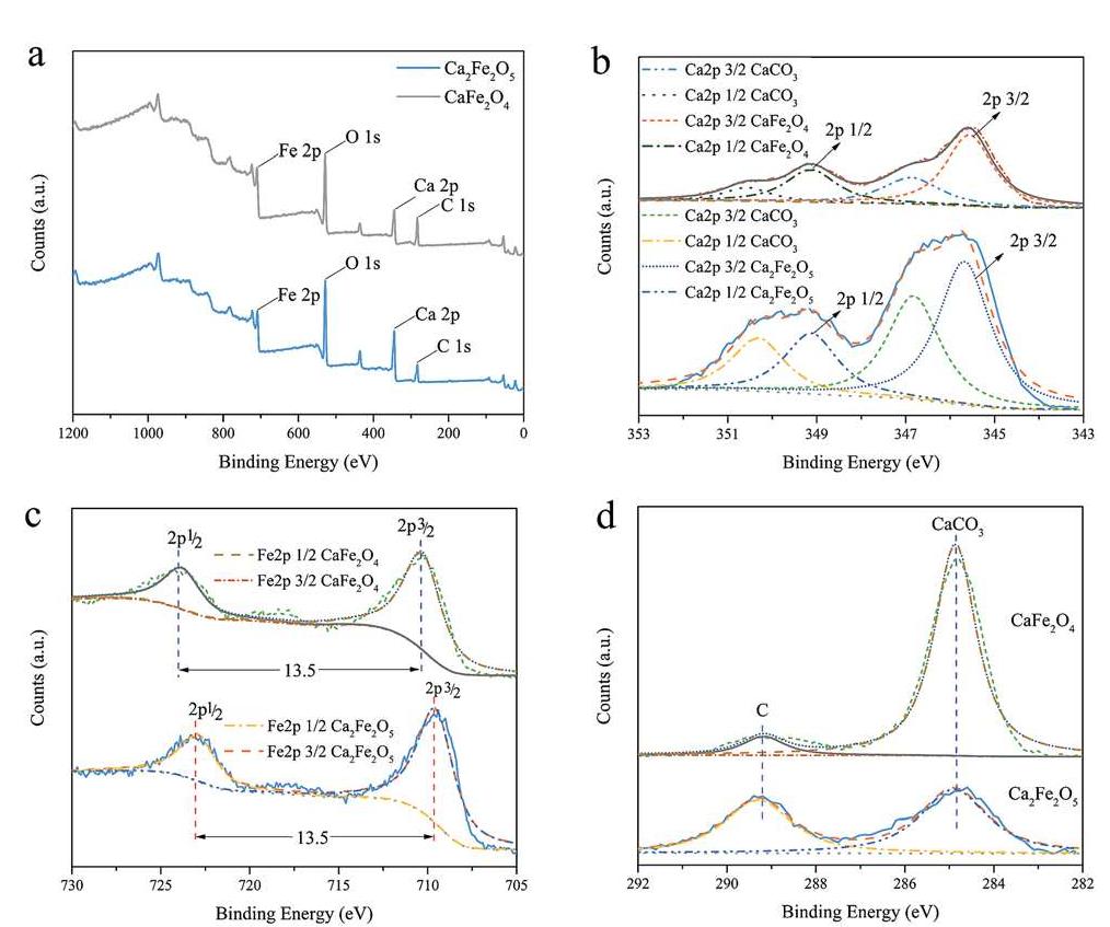Large scale (a) and high resolution xps spectra of ca2fe2os