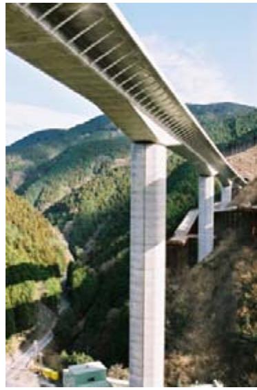 Shibakawa viaduct (continuous pc box girder with inclined