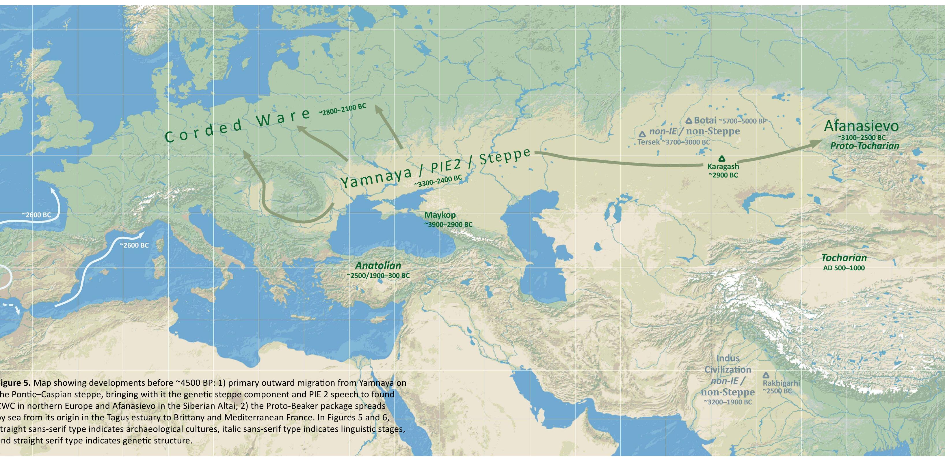 (PDF) Formation of the Indo-European branches in the light of the ...