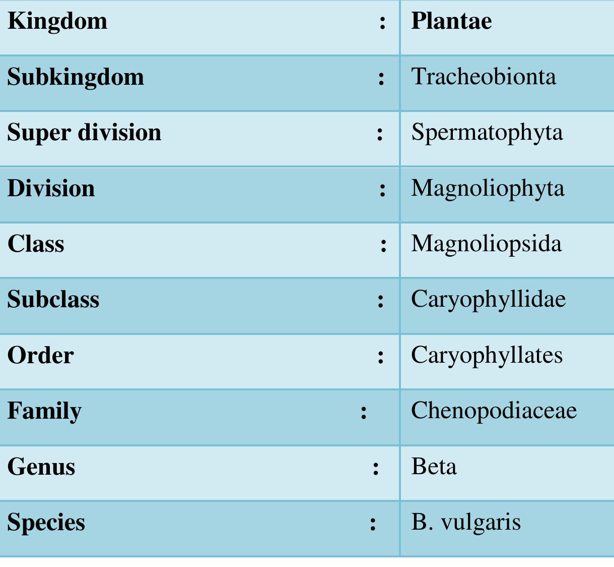 1 taxonomical classification of beetroot