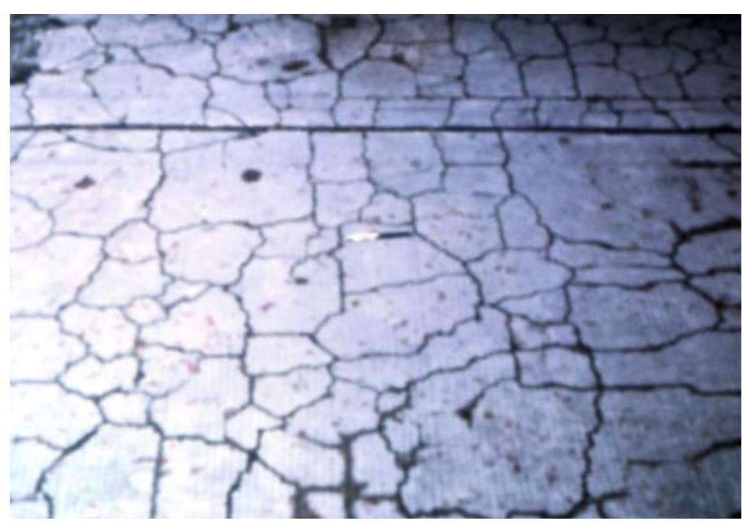 Map cracking pattern caused by alkali-carbonate reactivity.
