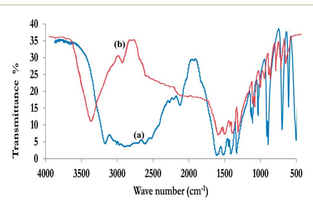Ft-ir spectra of (a) glycine monomer and (b) poly-glycine