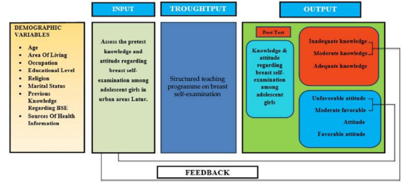 Conceptual framework based on general system theory