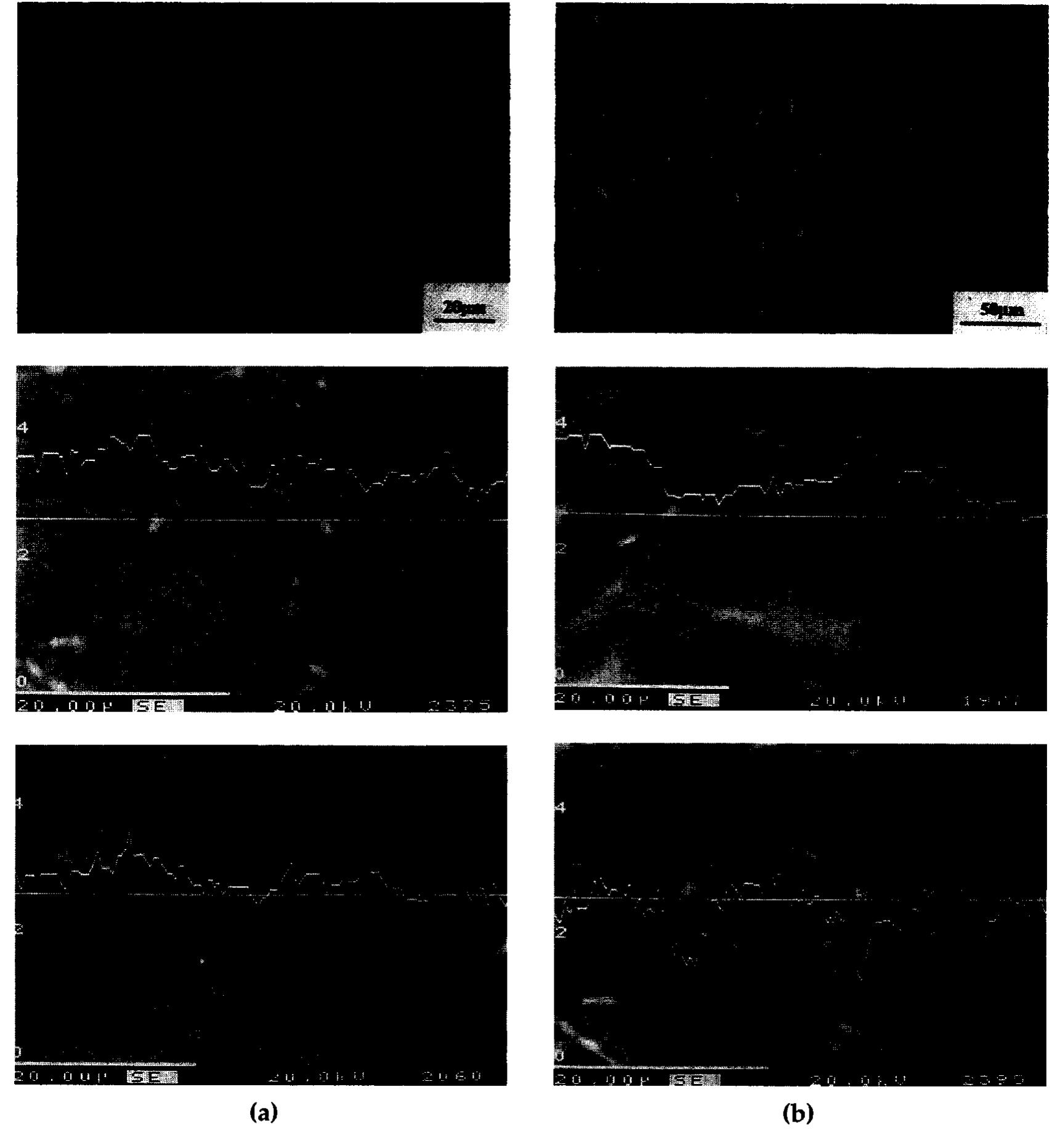 Fic. 3. concentration profiles of cr and ni across (a) a