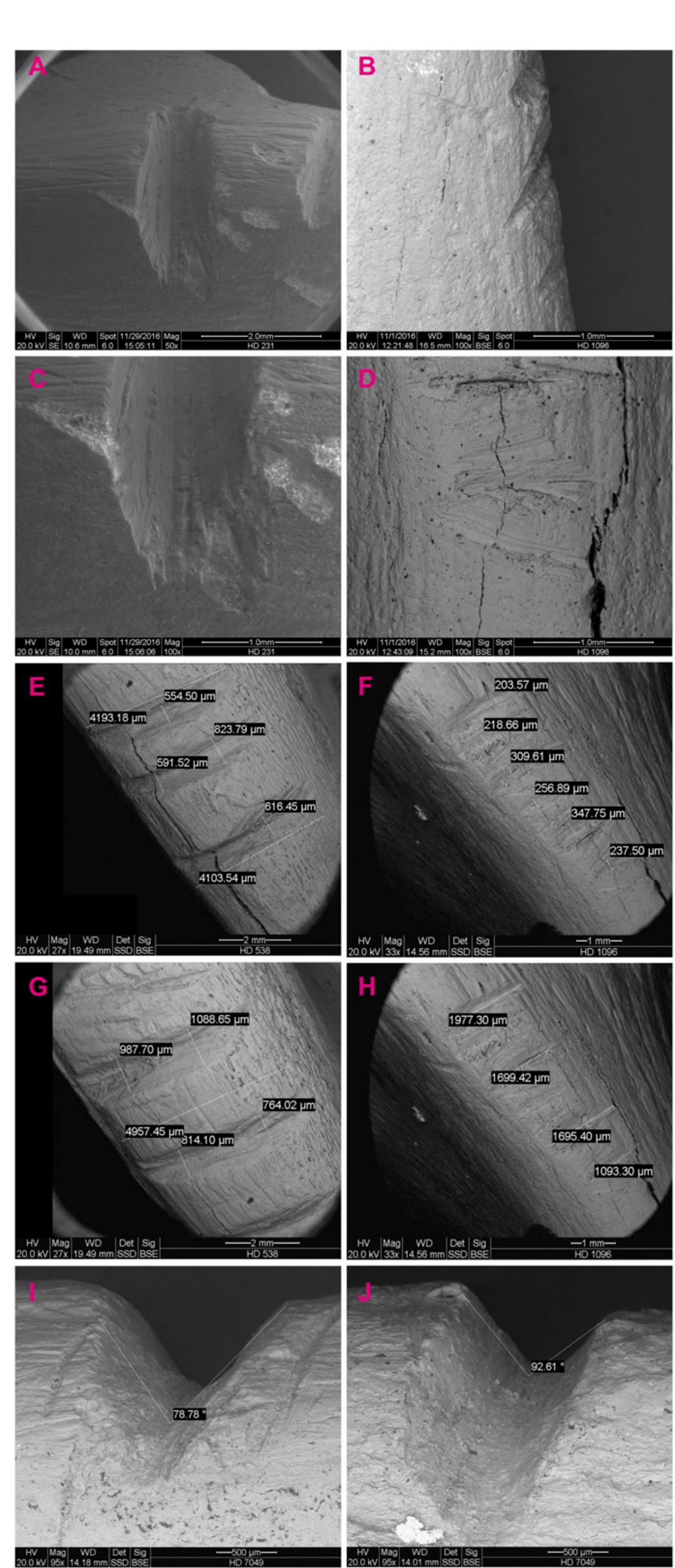 Detailed scanning electron microscopy photographs of notches