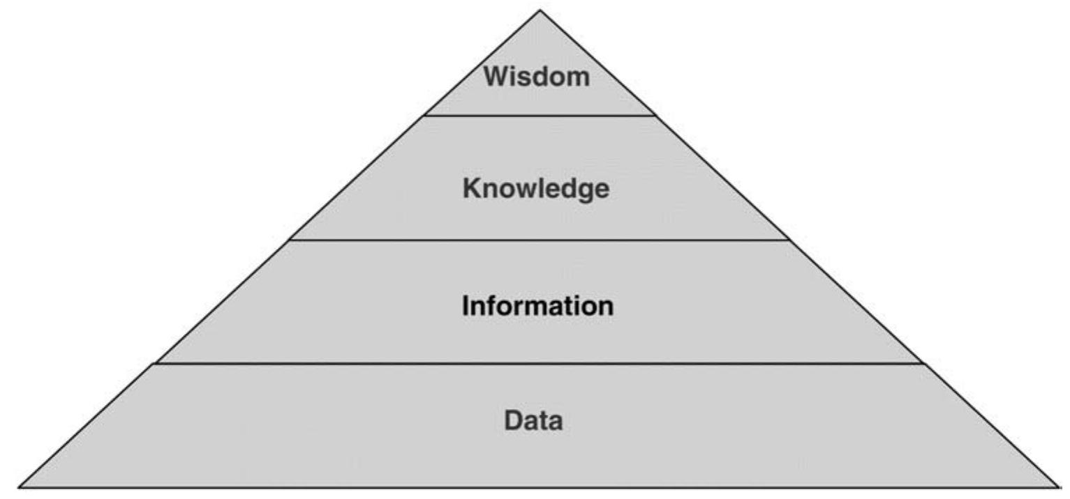 Figure 1 - The wisdom hierarchy: representations of the DIKW