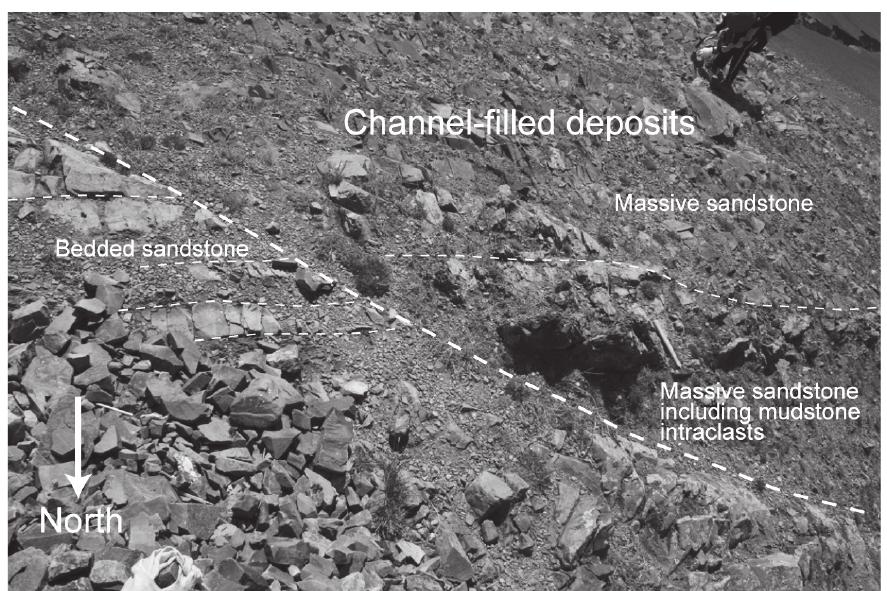 Channel-filled sediment in the altan-ovoo & orgioch-uul