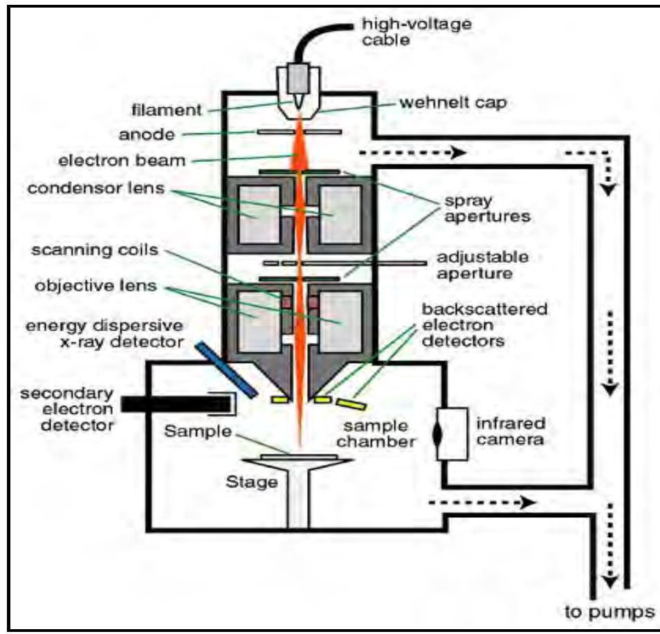 9. a schematic overview of scanning electron microscope