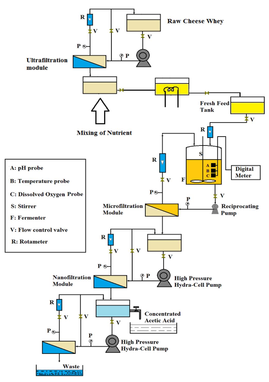 Schematic diagram of membrane integrated hybrid fermentation