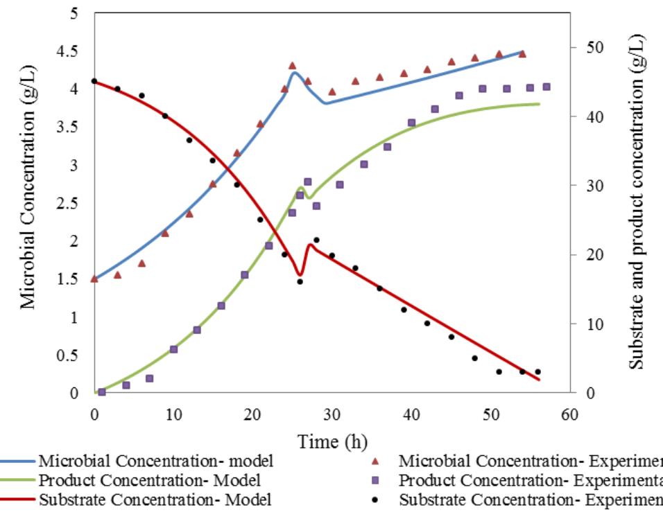 Profiles of microbial concentration, substrate consumption