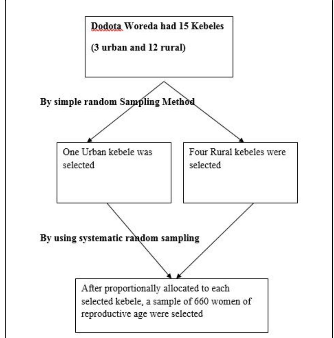 Schematic diagram indicating sampling procedure. in case two