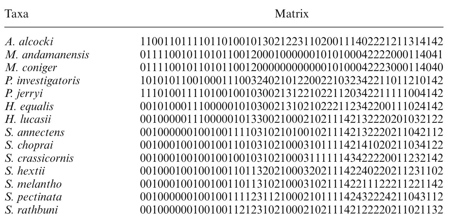 The data matrix of morphological characters of deep water