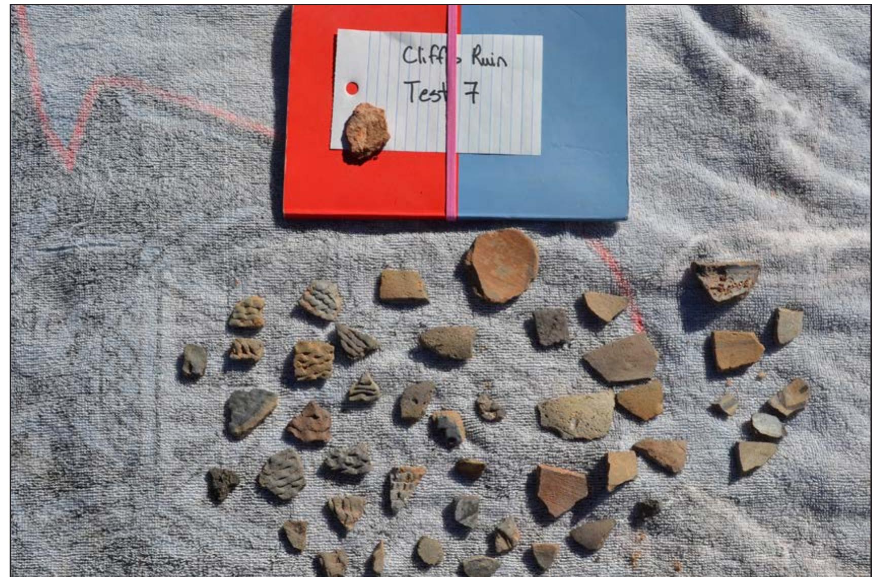 36 on-site methods, photograph of sherds from plot area.