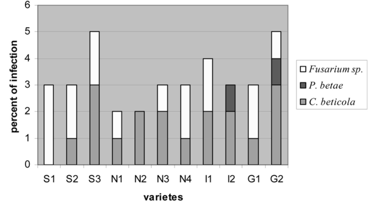 Graph. 1 — percentage of sugar beet infection caused by