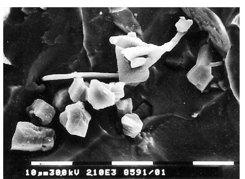 Figure 7 - Non-metallic inclusions in steels -origin and