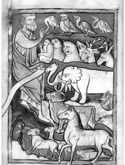 Adam naming animals in paradise, national library of russia,