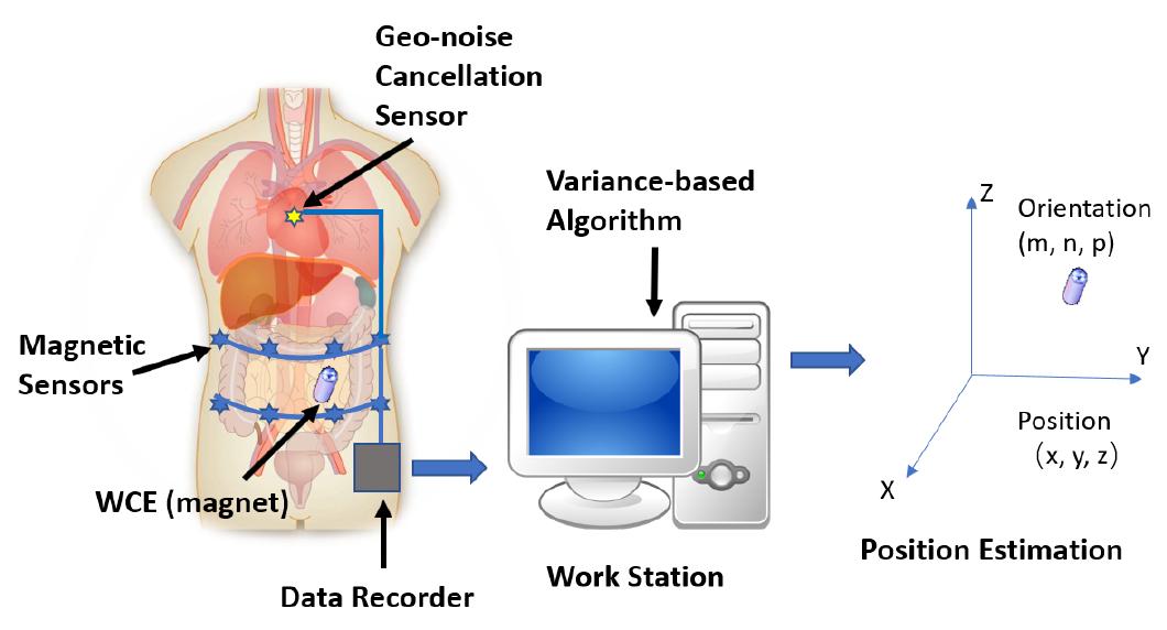 Magnetic localization wearable system overview
