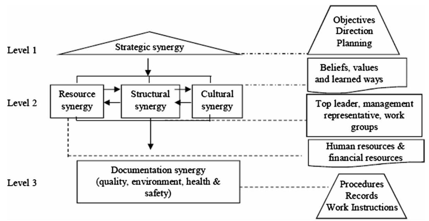 Synergistic model (adapted from zeng et al., 2007).