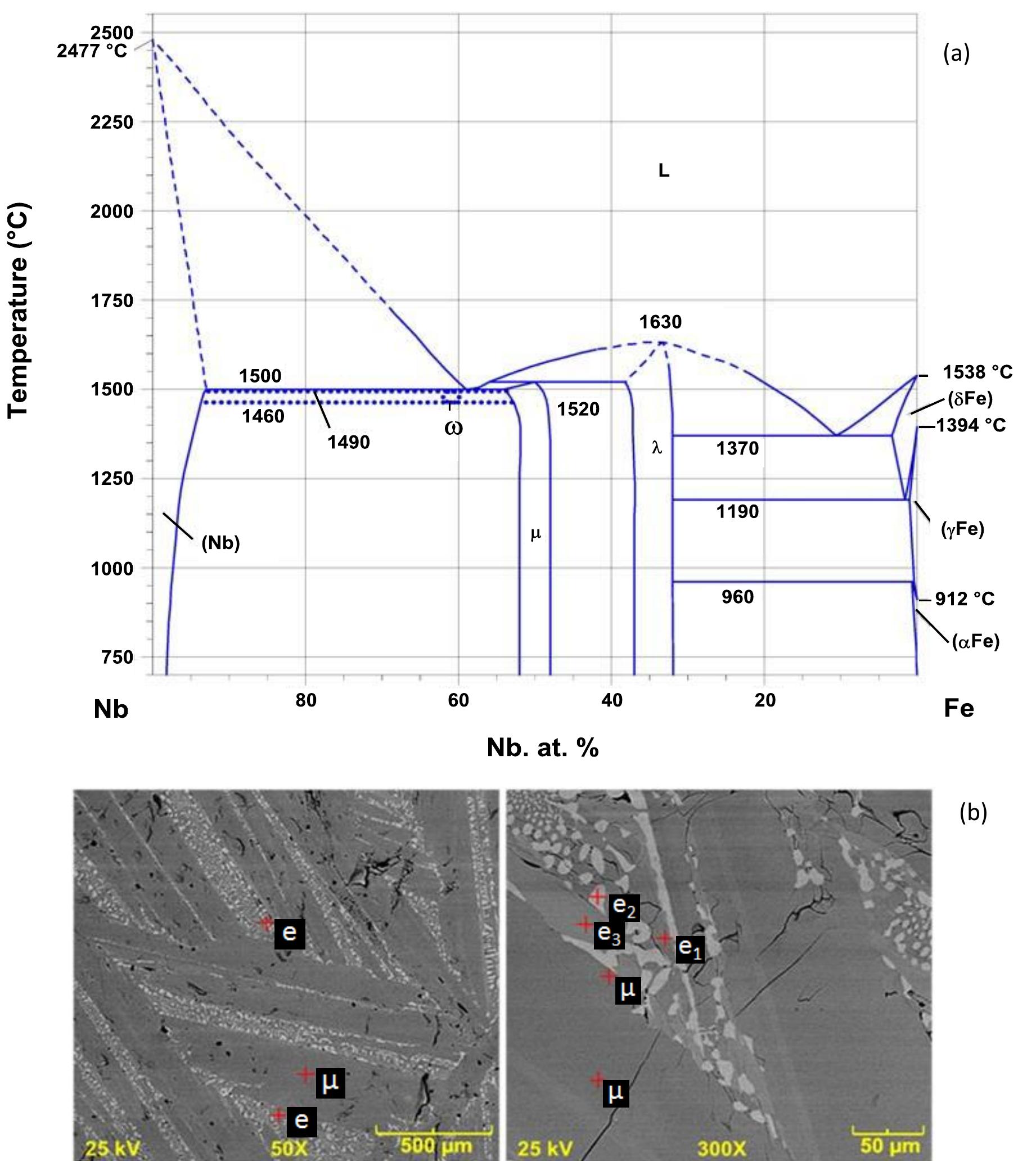 Fenb phase diagram according to zelaya-bejarano [2] (a) and