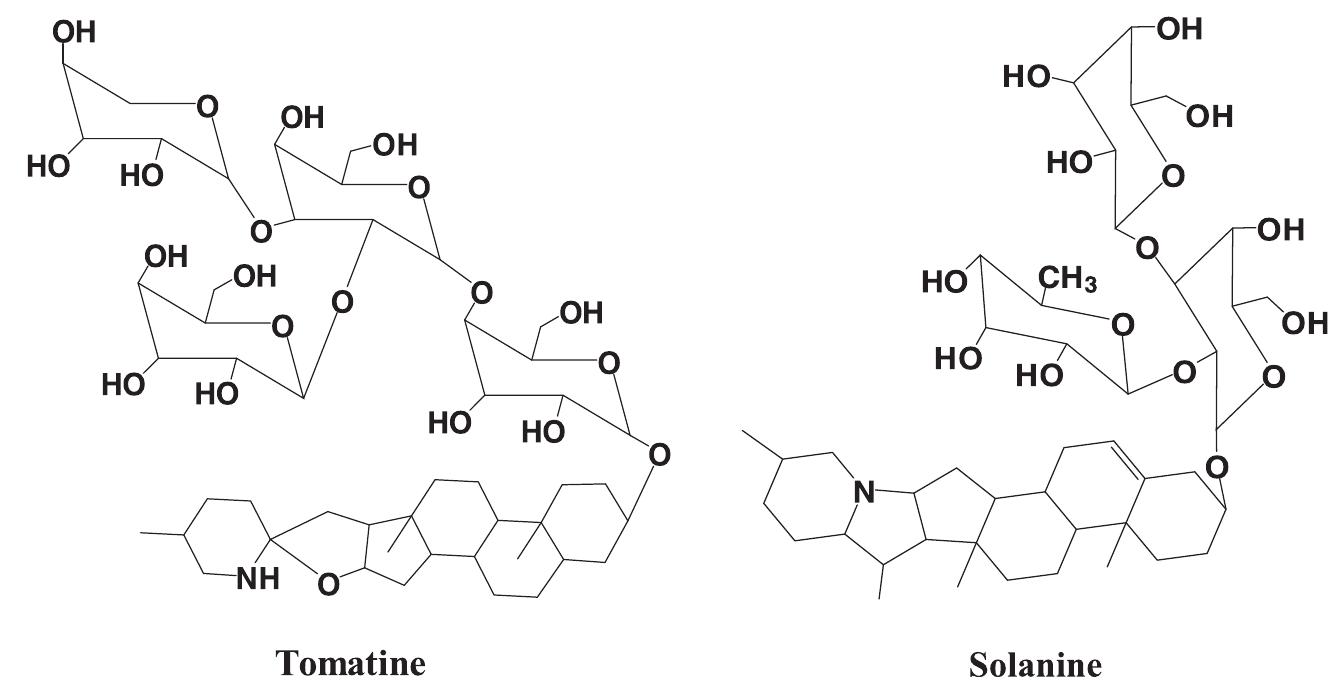 Chemical structure of the tomato glycoalkaloids tomatine and