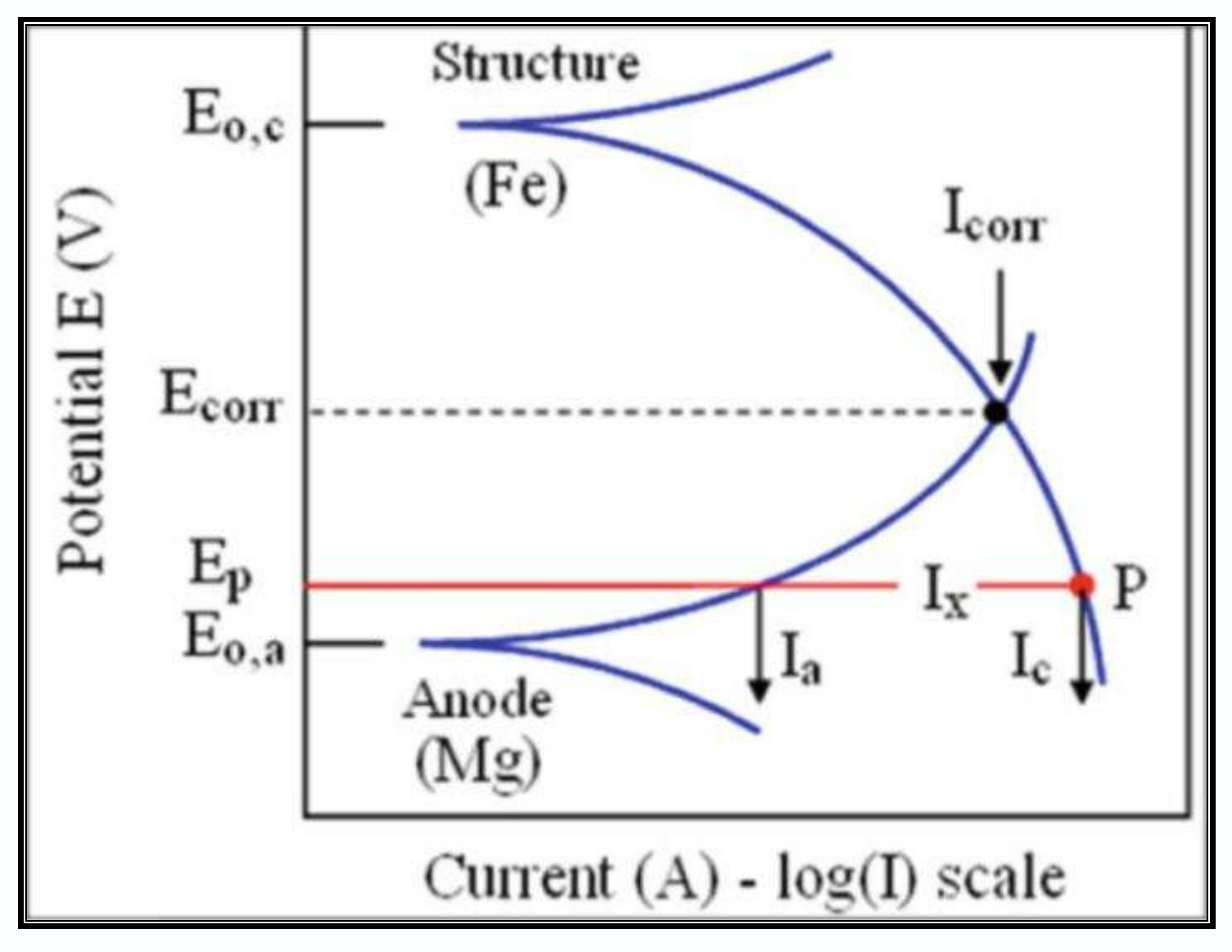 3 schematic polarization curve for