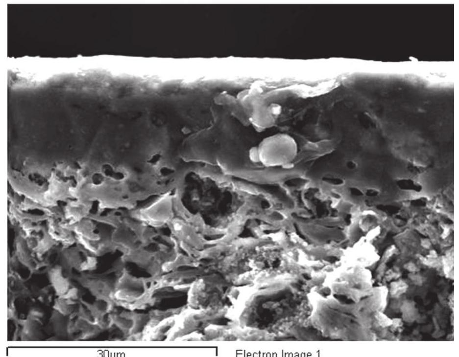 The microstructure of the slip and body of mid 14/102