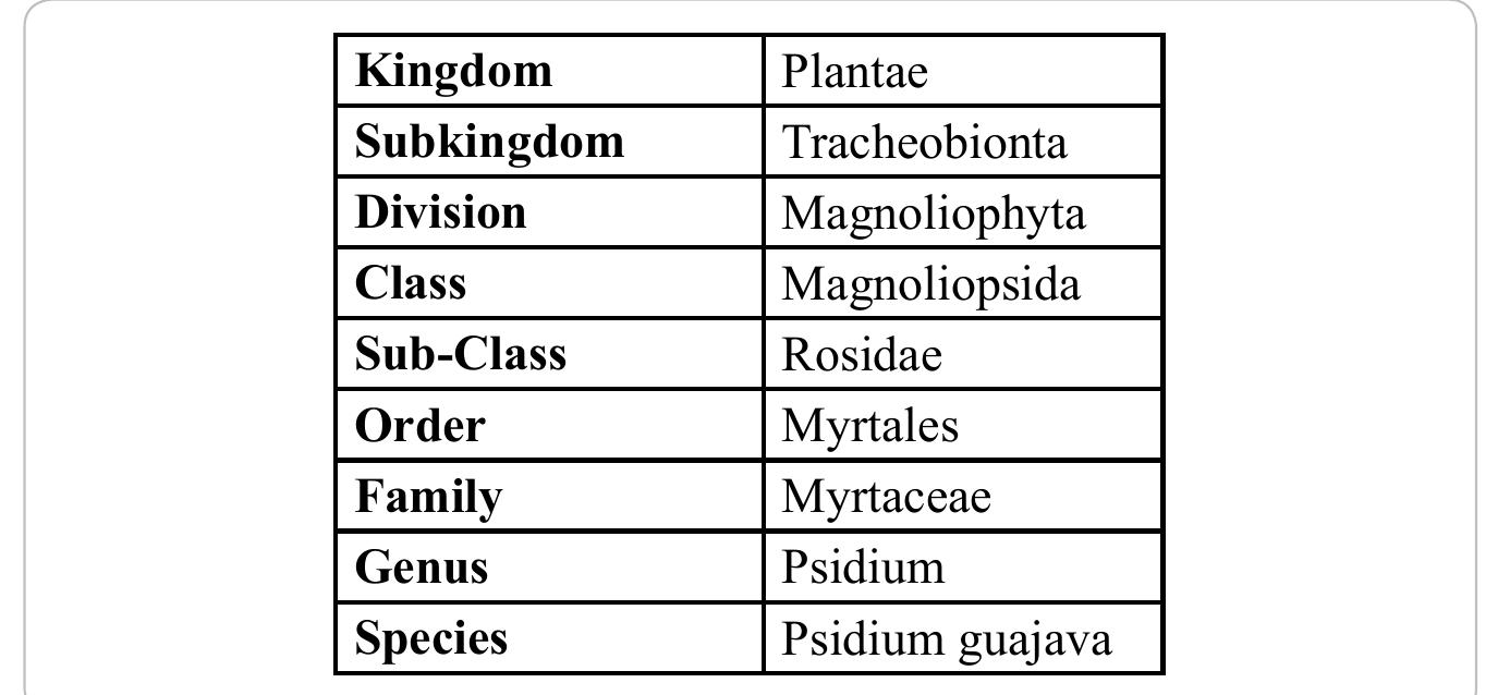 The taxonomical classification of the plant is plant