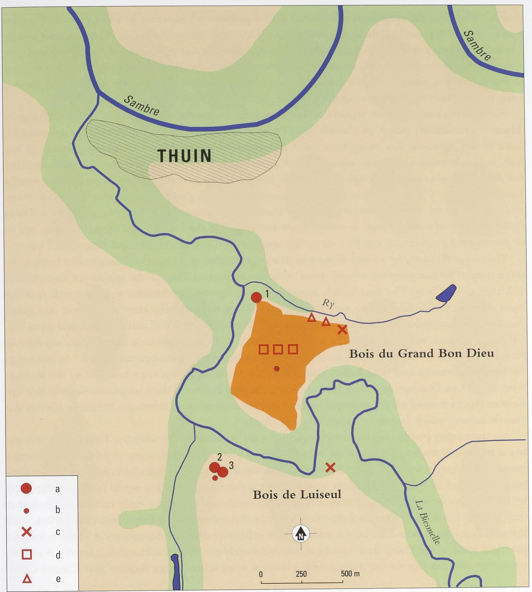 Topography of the late iron age fortification (brown) at