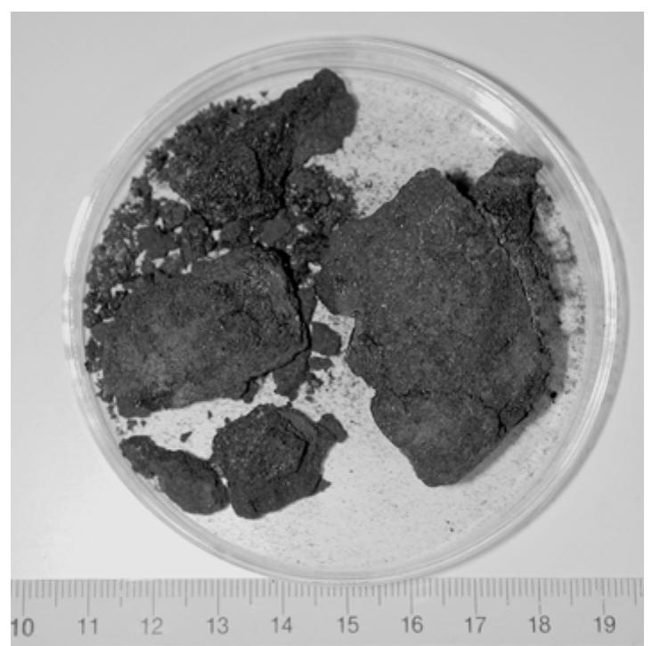 Scanning electron microscope photo of the seed cake showing