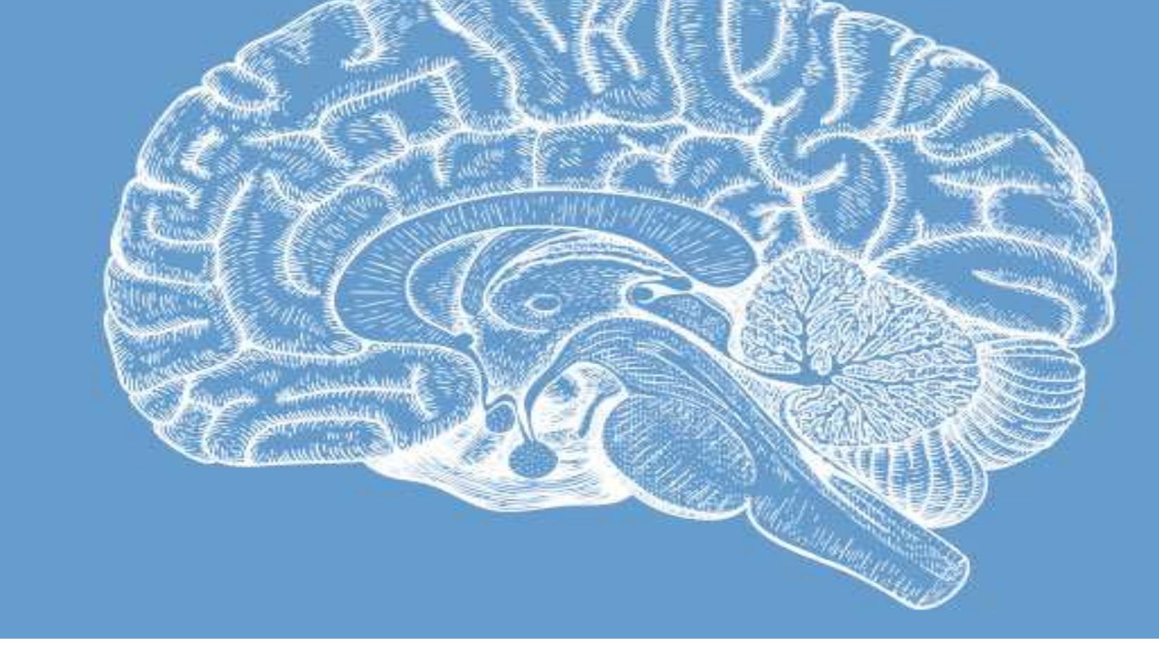 Figure 1 - The Psychological Autopsy: What, Who, and Why