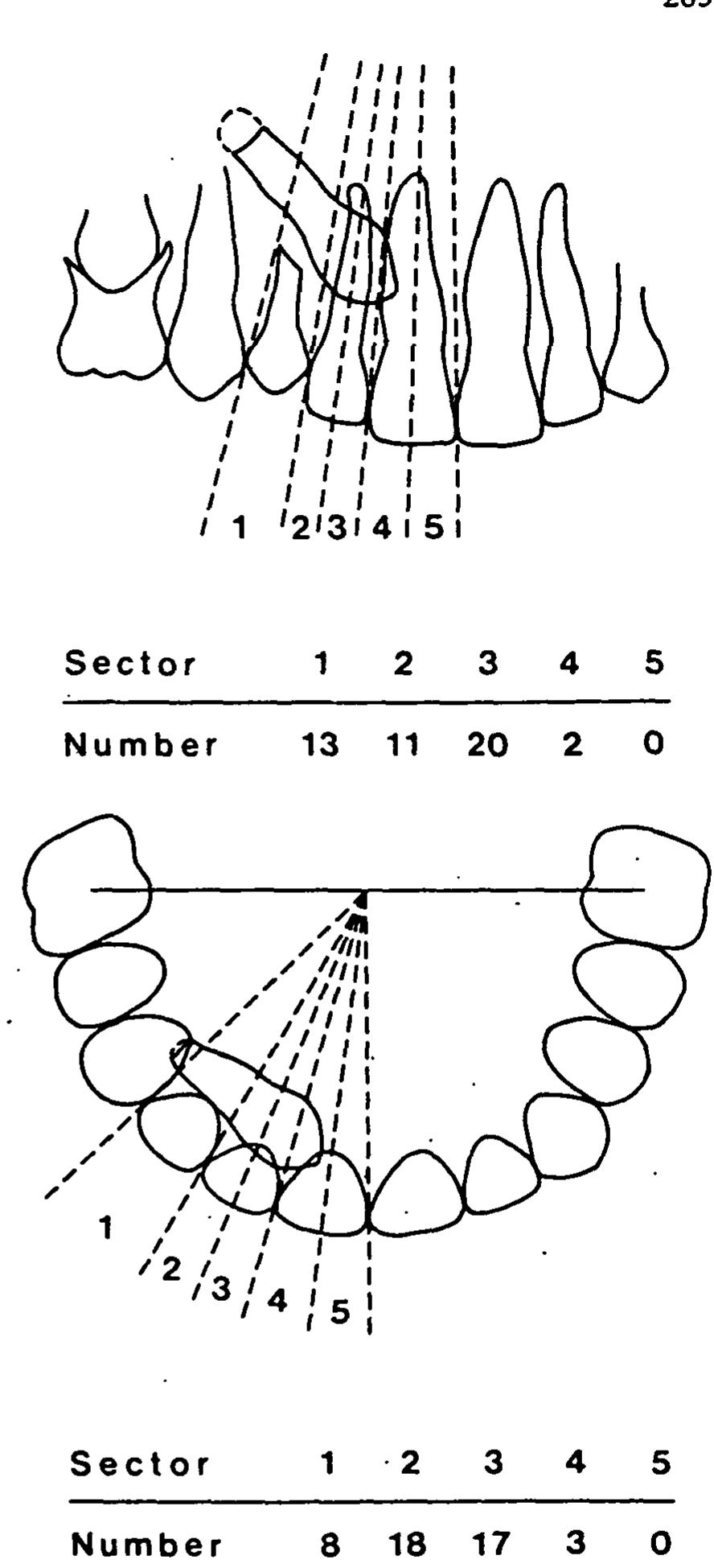 Distribution of the 46 maxillary canines according to the