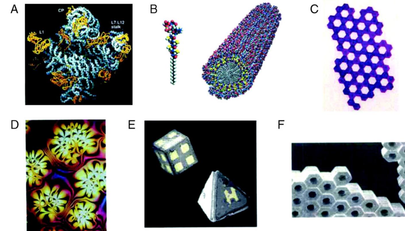 Examples of static self-assembly. (a) crystal structure of a