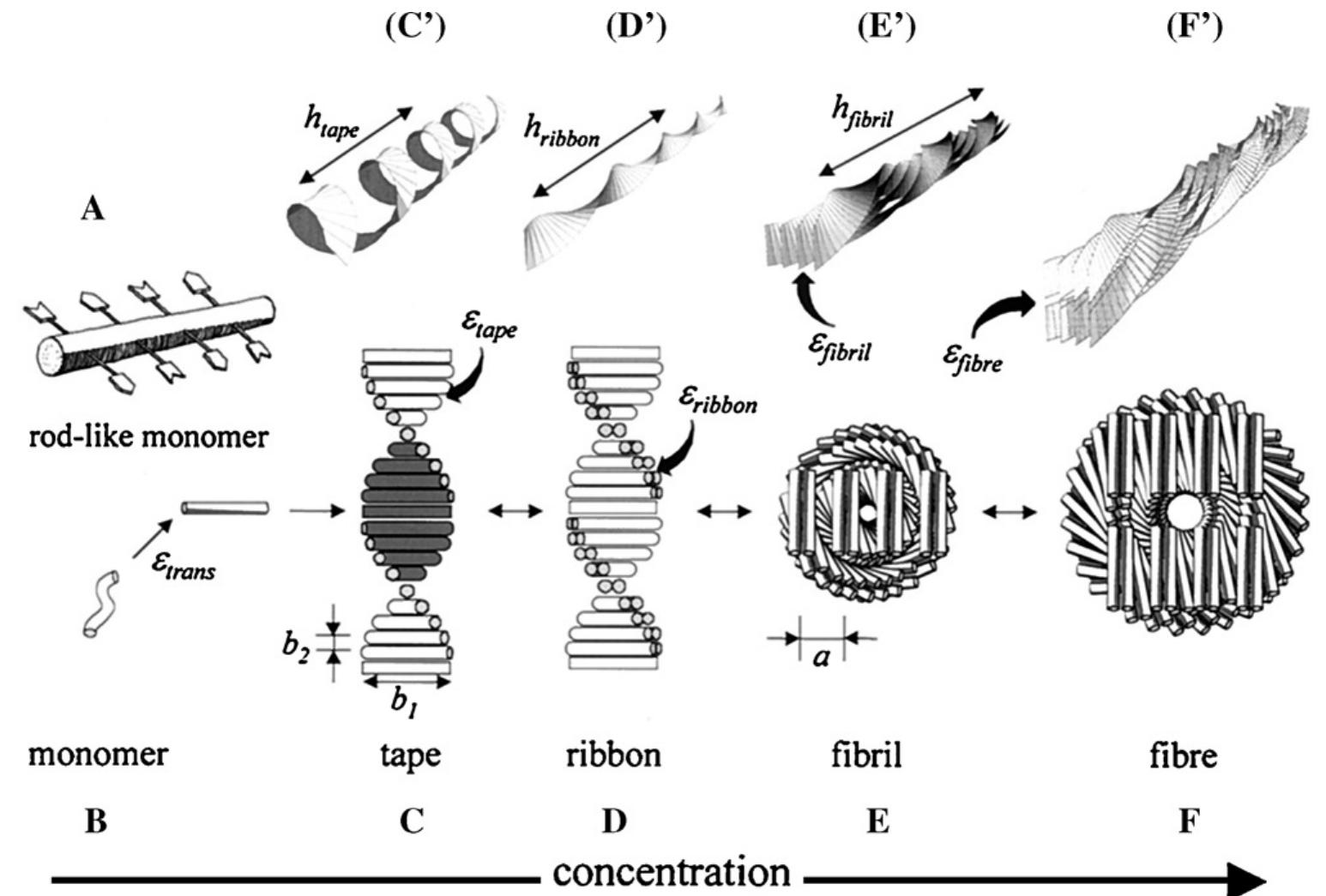 Model of hierarchical self-assembly of chiral rod-like