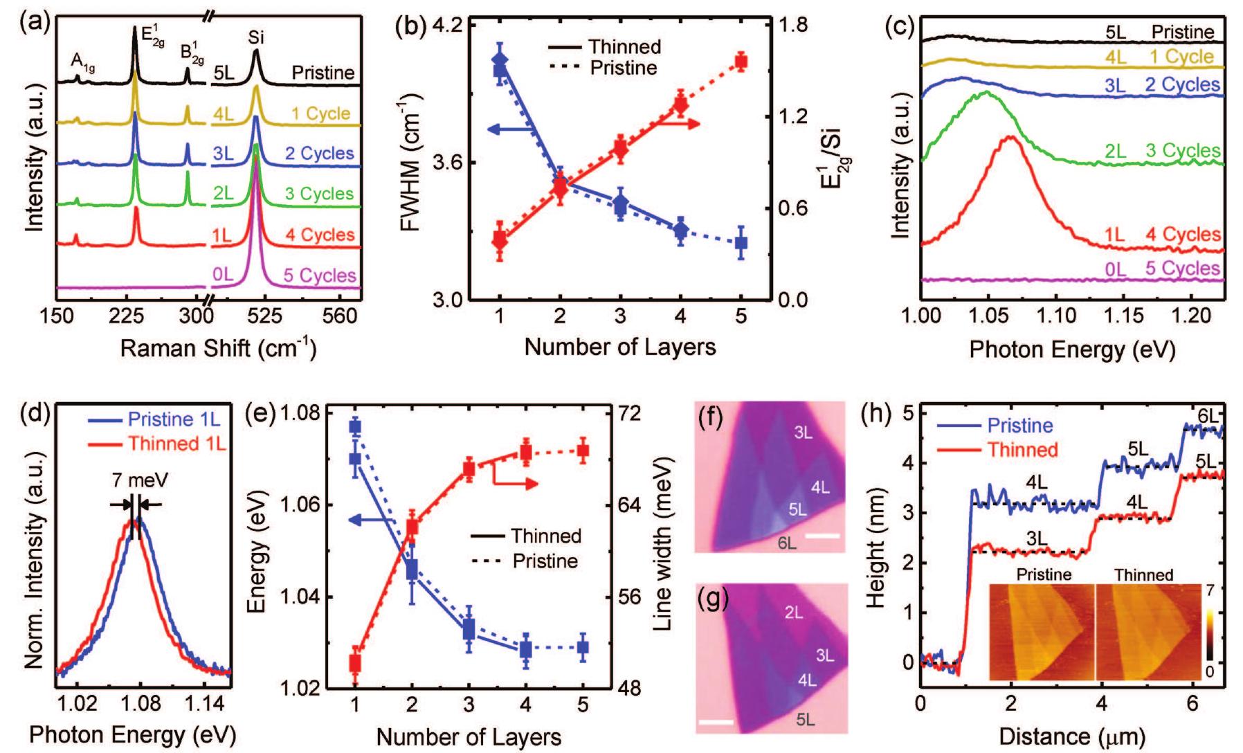 A) evolution of raman spectra of mote, after each thinning