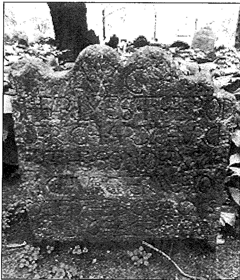 The inscription of the richard churcher headstone in trinity