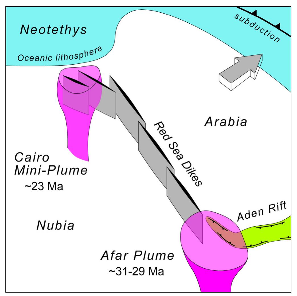 Two-plume model for the origin of the red sea continental