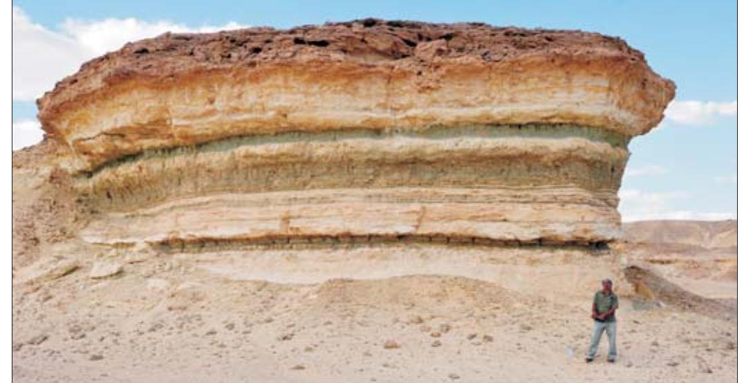 Variegated layers in the lower part of the oligocene