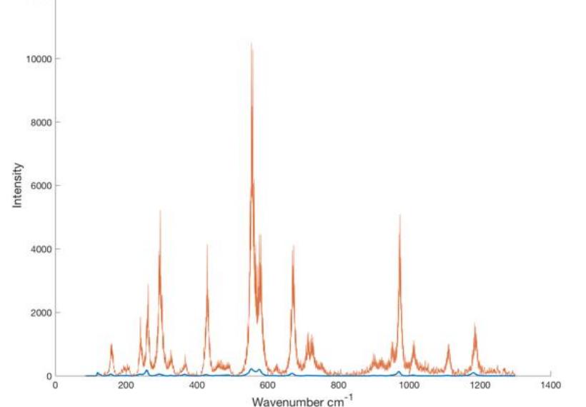 Samples of raman spectra before the pre-processing