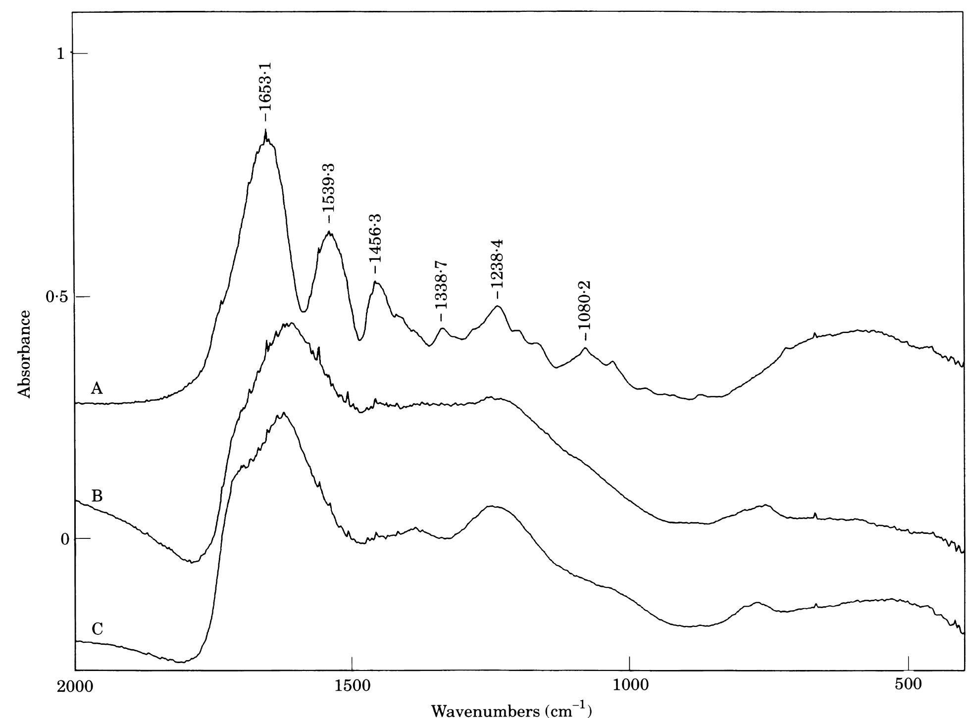 (PDF) Differential burning, fragmentation, and preservation of ...