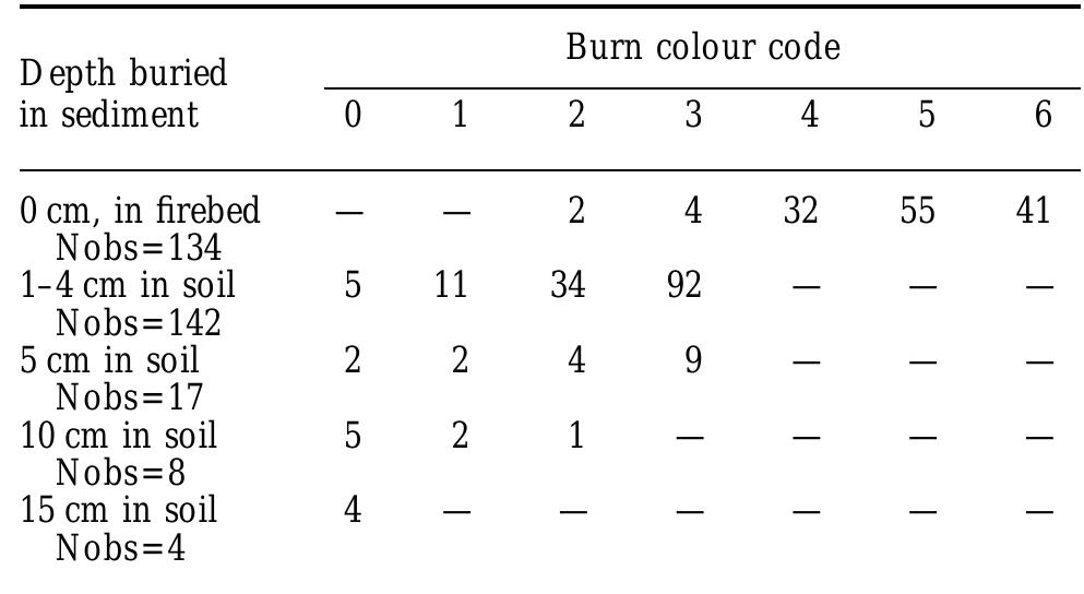 (PDF) Differential burning, fragmentation, and preservation of ...