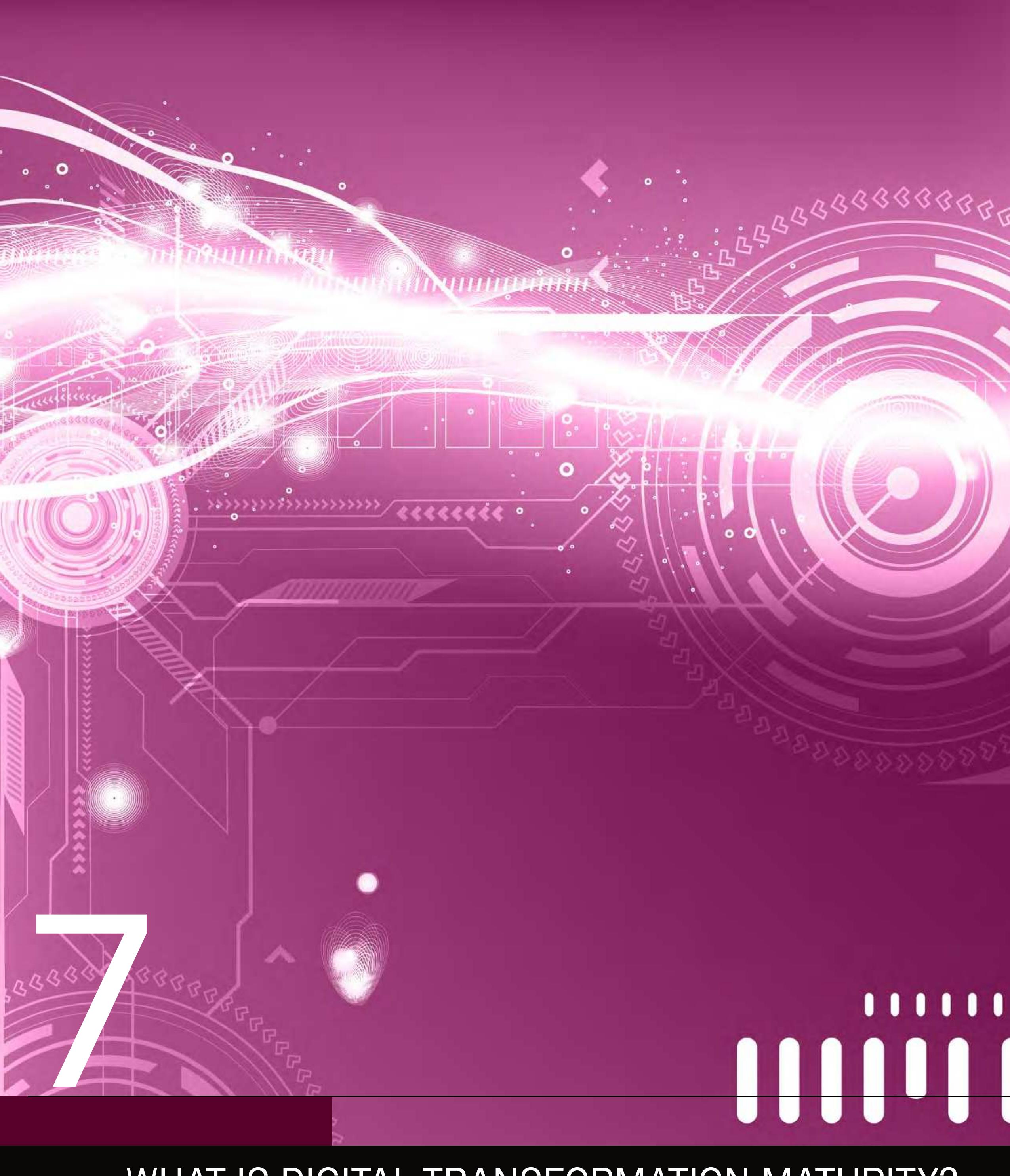 Figure 23 - from DIGITAL TRANSFORMATION: A ROADMAP FOR