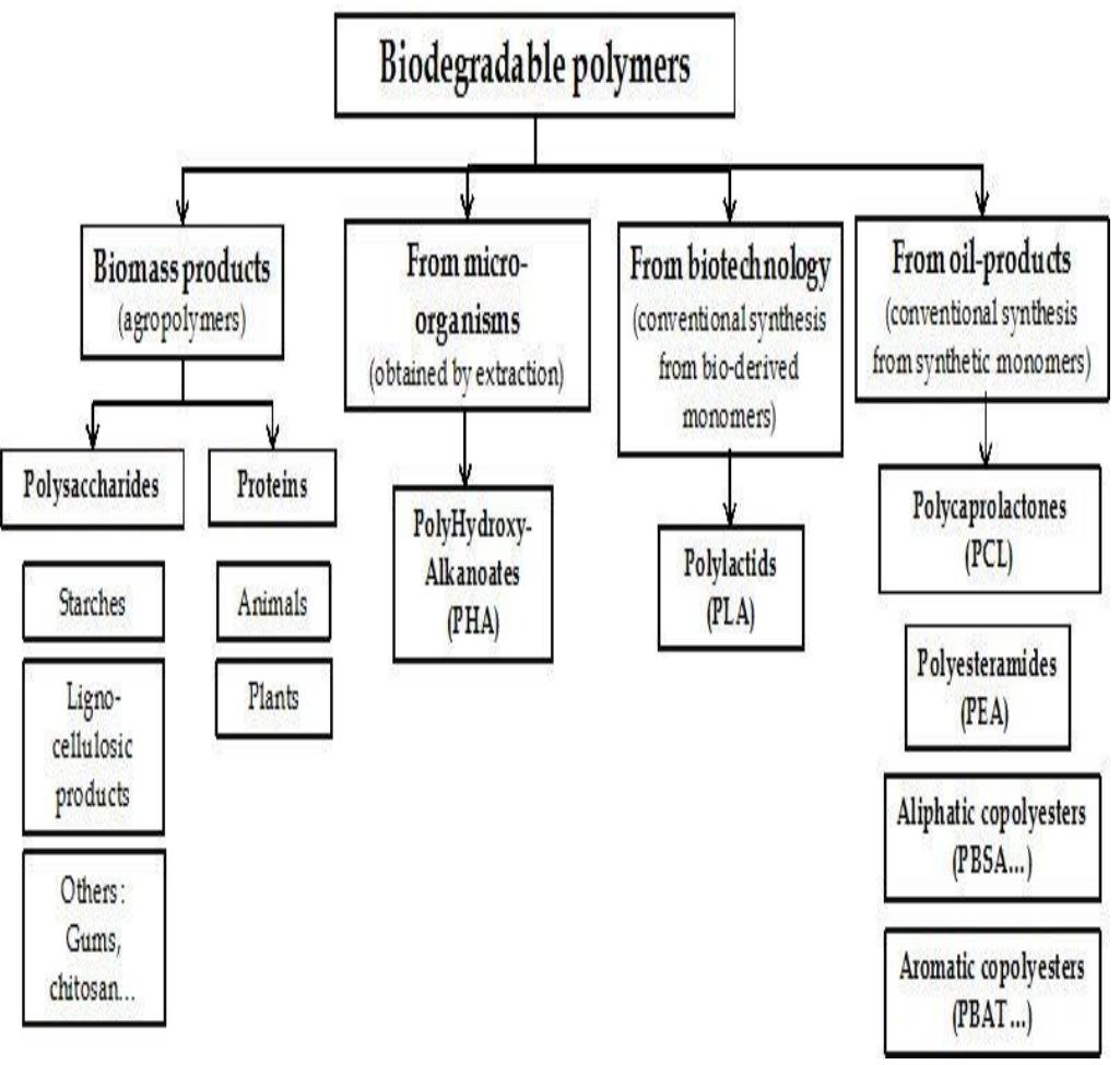 1 figure — 1 below shows the classification of