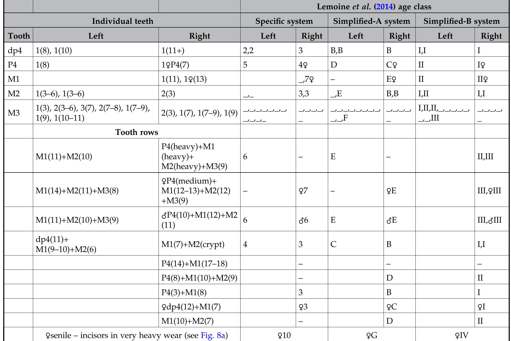 Wear stage of isolated teeth and mandibular rows with