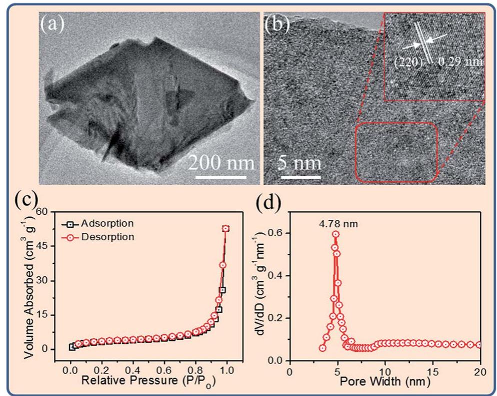 (a) typical tem image of the zn—co-o nanosheet taken at low