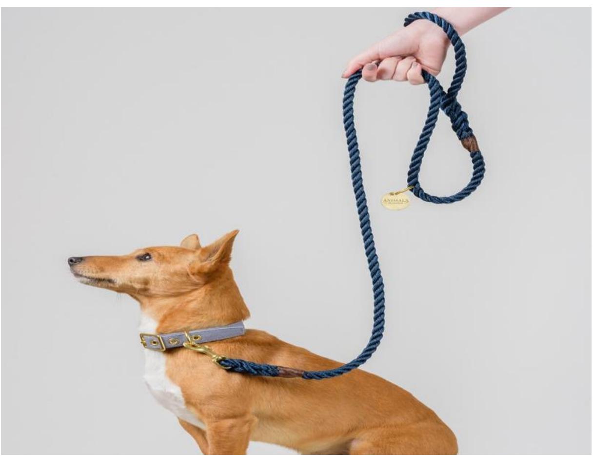 (PDF) Handling and Restraining of Animals