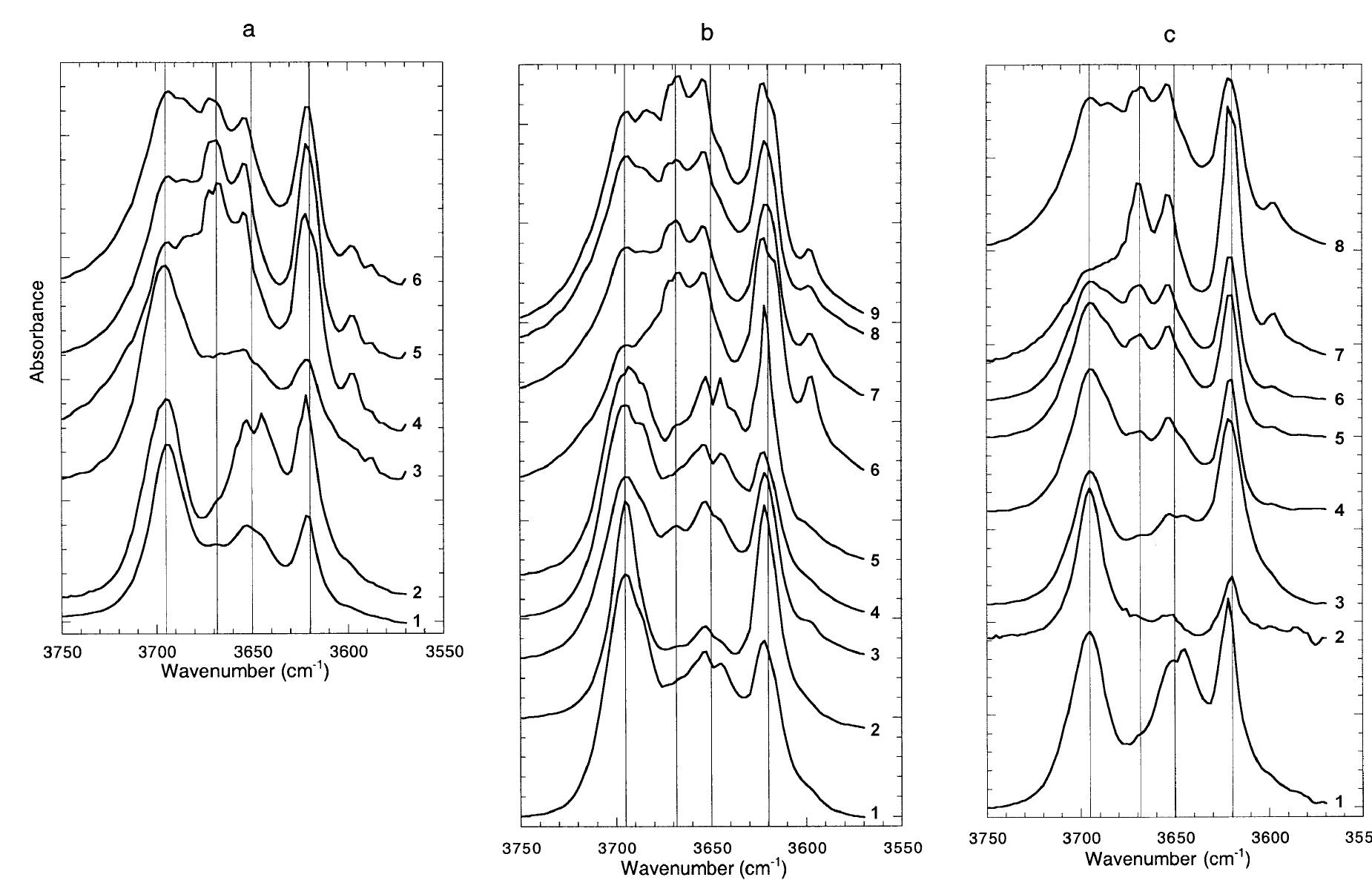 Irms spectra of the two types of kaolinite in the high