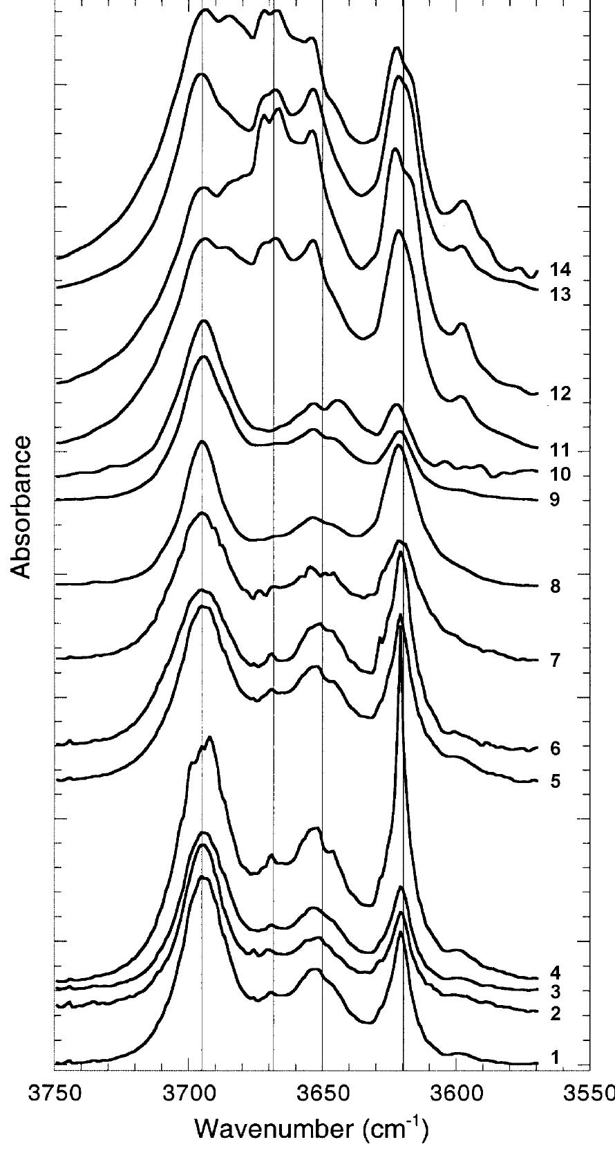 Irms spectra of the two types of kaolinite from the mottled