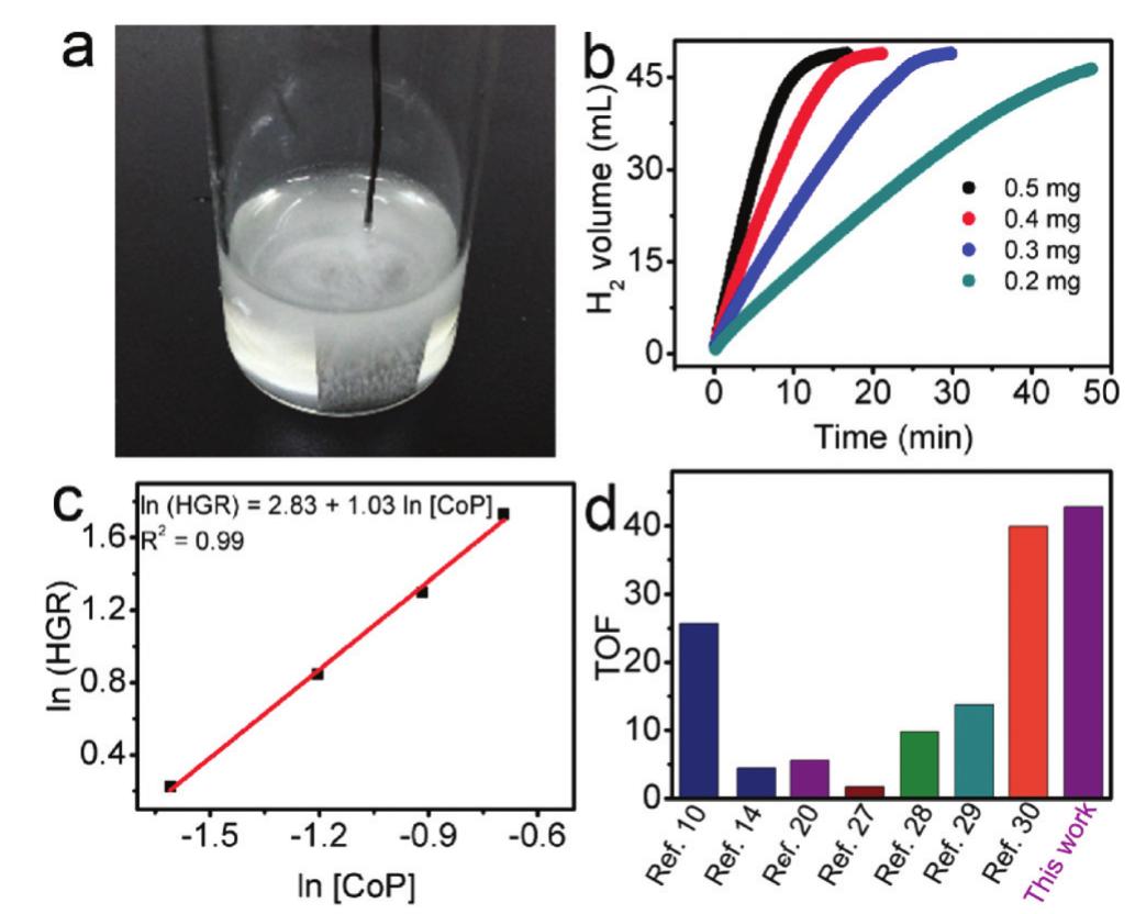(a) optical photograph for the hydrolysis of ab catalyzed by